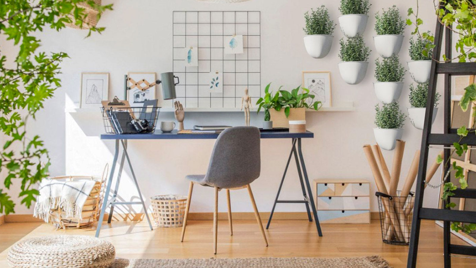 Plant Seads - Grow anywhere with Sead Pods