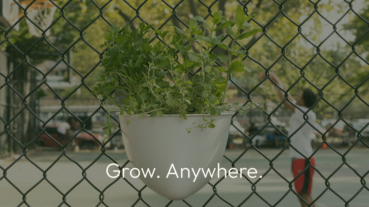 Plant Seads - Grow anywhere with Sead Pods